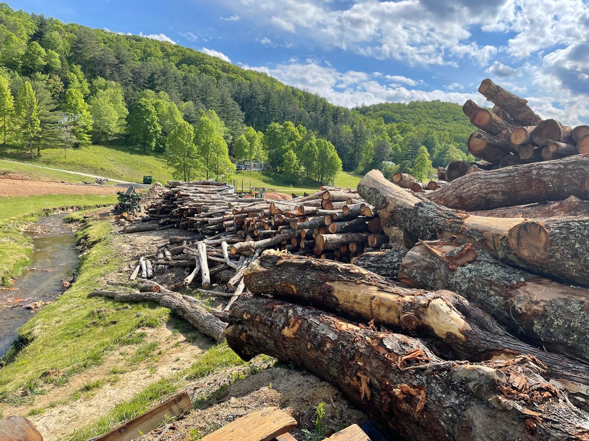 36 Hour Premium Dry Kiln Firewood | Carolina Firewood Company